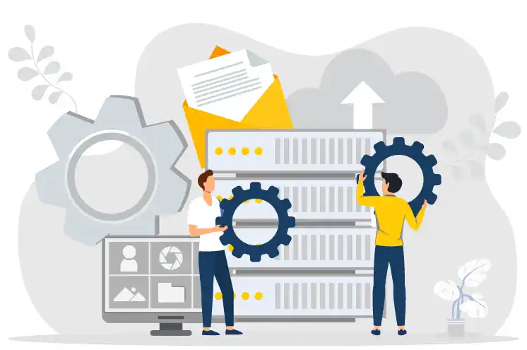 IT Asset Management Service | Procain Consulting